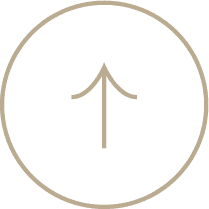 Imperial Peterhof Factory — IPF Watches